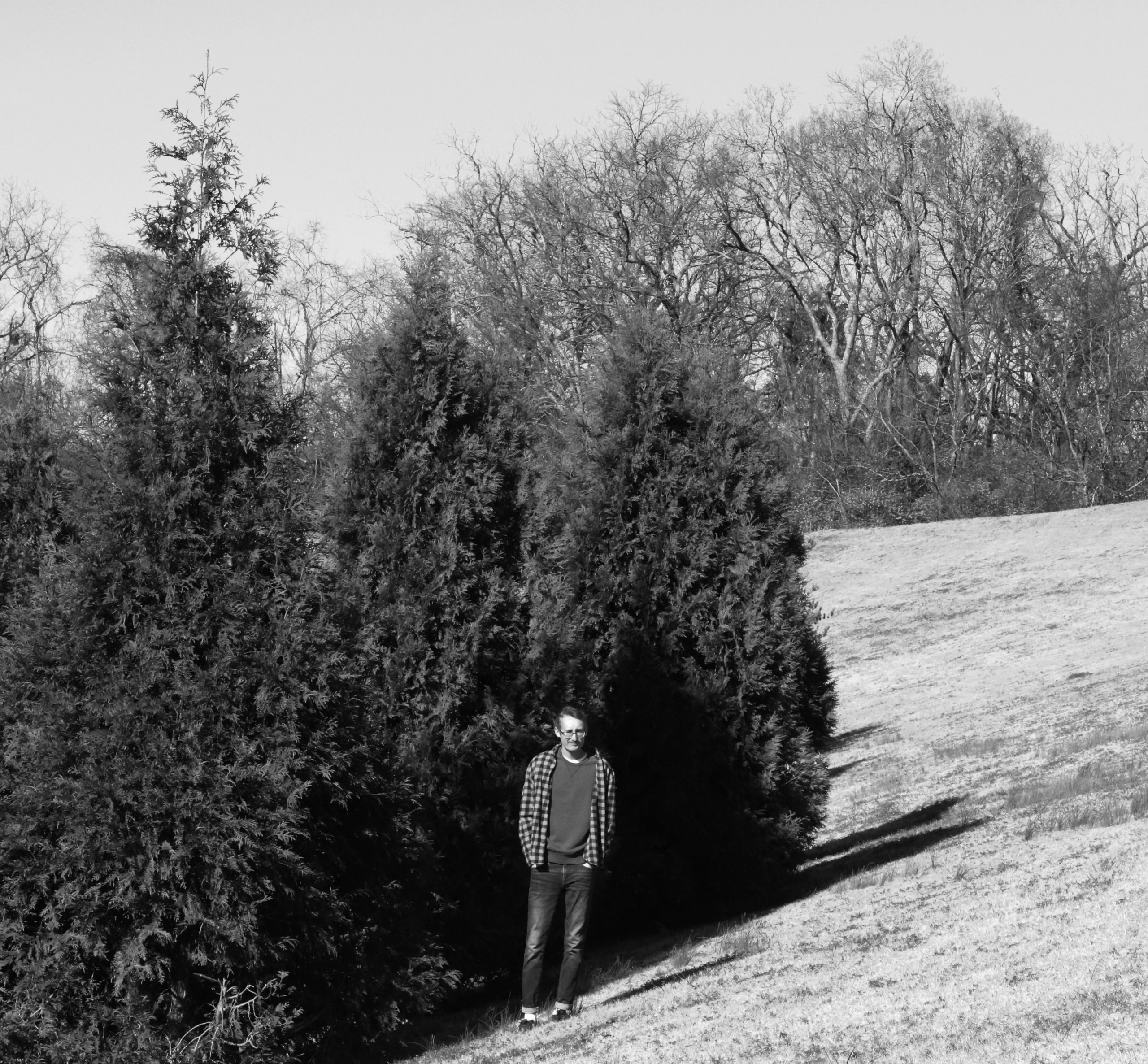 Thomas Austin's “The Morning” Is a Meditation on Light, Loss, and Faith ...